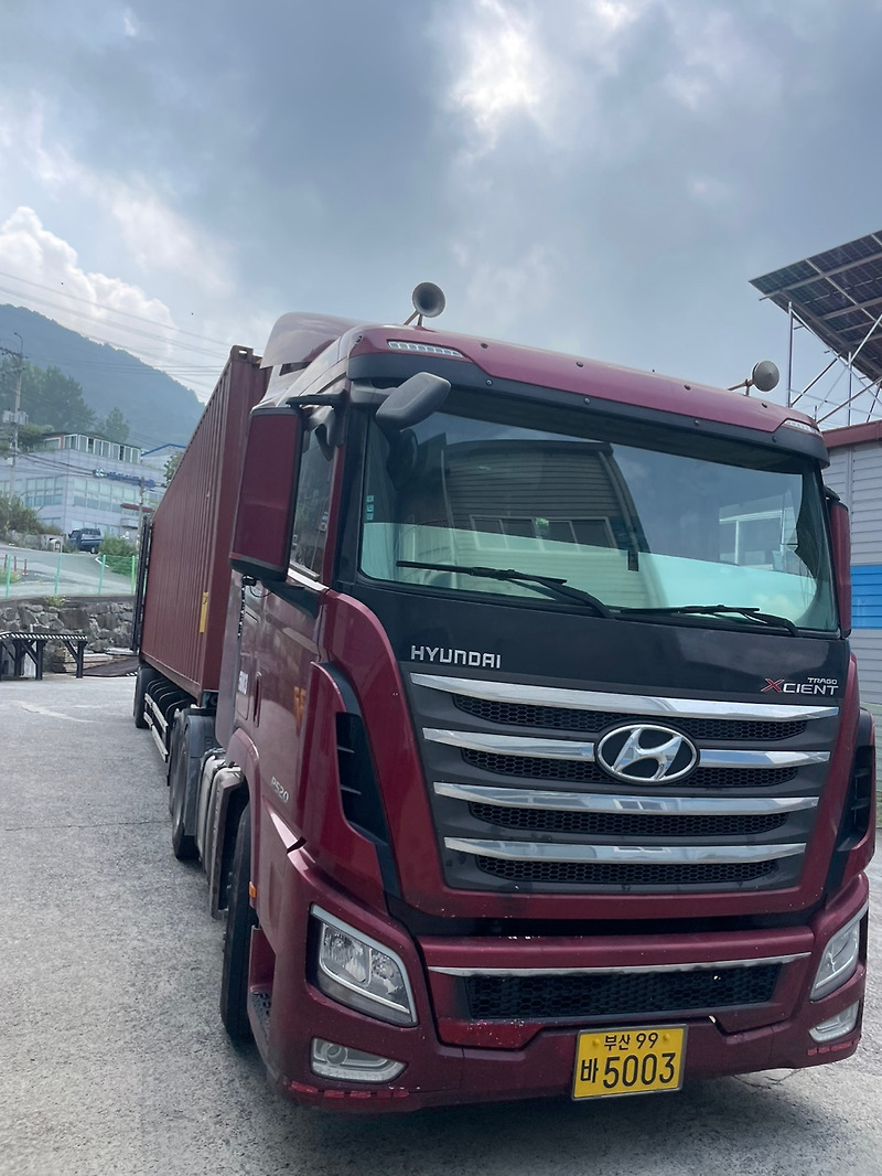 MDF 2024.09.03 입고