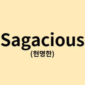 오늘의 영어단어 "sagacious"