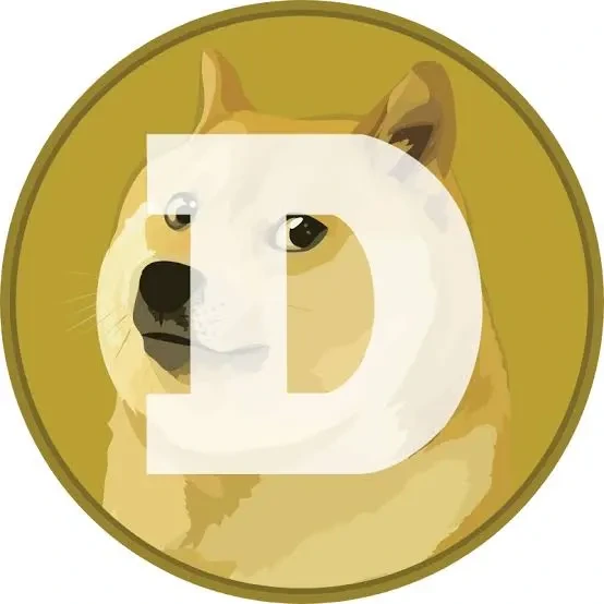 도지코인(DOGE) 2025년 1월부터 현재까지 시세 및 가격 급락 현황