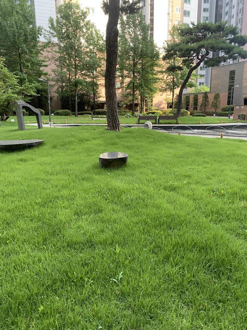 [백준] 11660번: 구간 합 구하기 5 - python