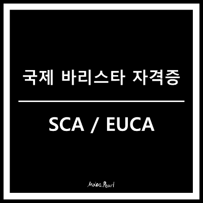 국제 바리스타 자격증ㅣ SCA, EUCA 비교