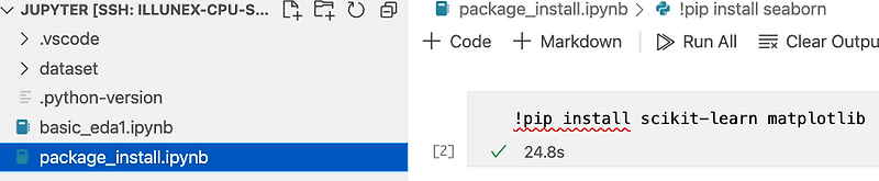 When local does not recognize the installed libraries from server.