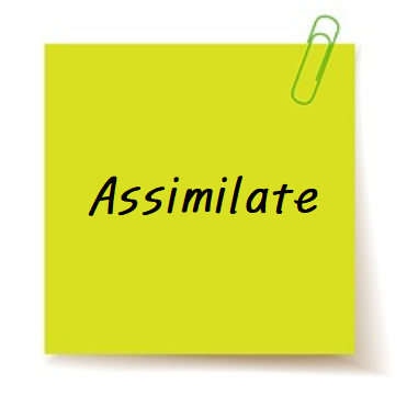 225. Assimilate - Semi Formal Vocabulary - Assimilate / Assimilation