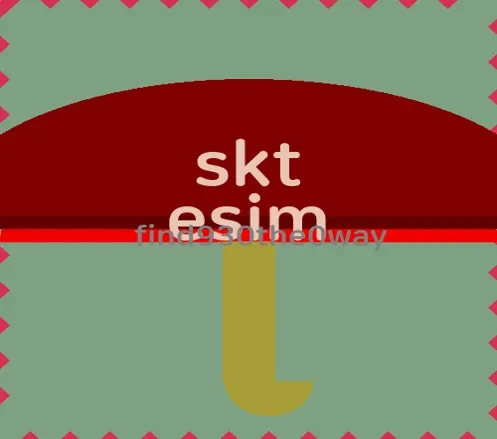 SKT eSIM 요금제 상세 설명 살펴보기