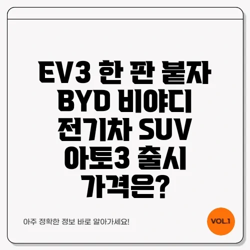 EV3 한 판 붙자 BYD 비야디 전기차 SUV 아토3 출시 가격은?