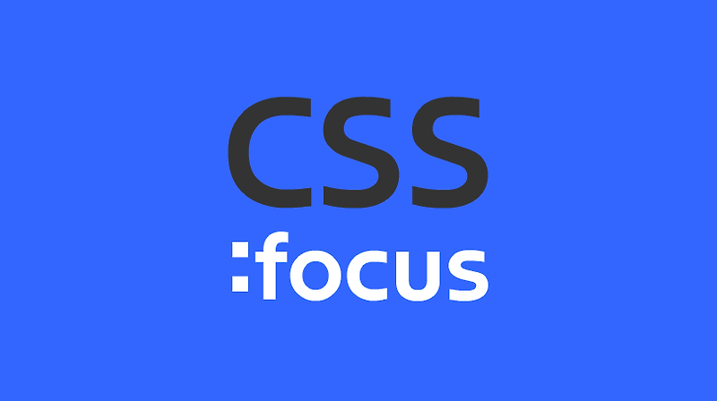 CSS - :focus 강조하기