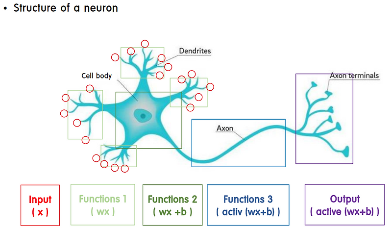 [AI/딥러닝] Neural Network / Activation Function / Feature Map / Fully ...