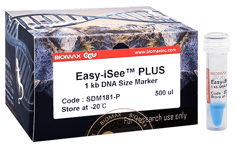 Easy-iSee™ PLUS 1Kb DNA Size Marker