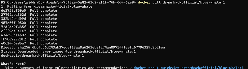 [Dreamhack] Beginner: blue-whale