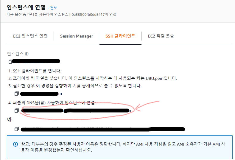 ipad로 비밀번호를 이용해 aws ec2 접속하기! ( termius )