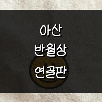 아산시 반월상 연골파열 치료 수술 잘하는곳 정형외과 전문병원 추천 정보 | 연골판 가격 비용 금액 후기 무릎통증 고관절통증 ...