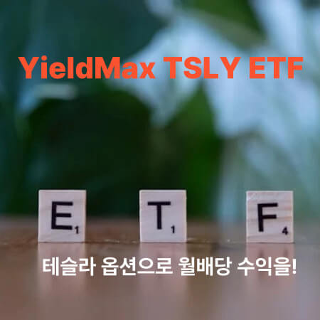 YieldMax TSLY ETF: 테슬라 옵션으로 월배당 수익을!