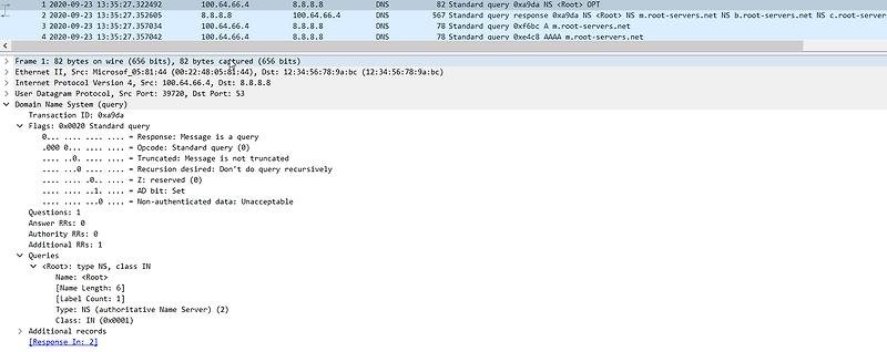 Simple Packet analysis about "DIG trace"command. :: netgo