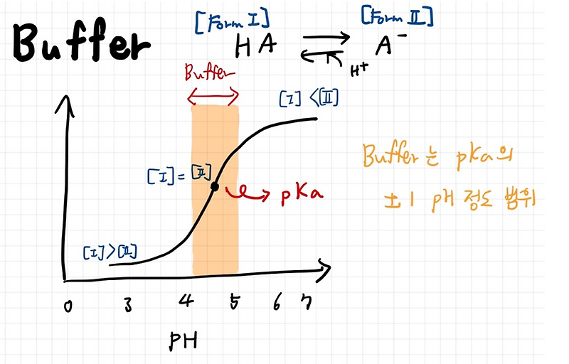 생화학 2. Buffer의 개념과 Isoelectric point(pI)(등전점) 개념.