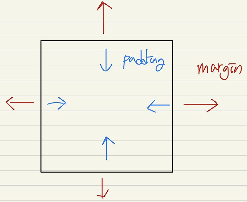 Flutter - 박스 디자인 하기(margin, padding, 정렬)