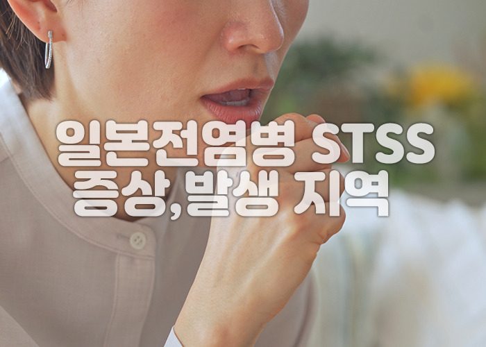일본전염병 STSS 증상 지역 일본 여행시 주의하세요