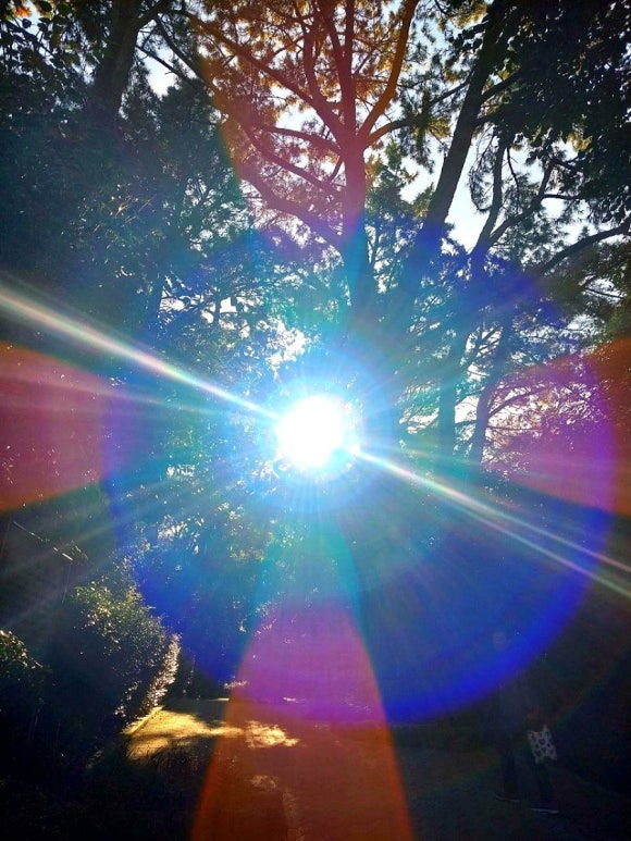 "무슨 조치들이? : EBS, EBS, EBS - JulianAssang"