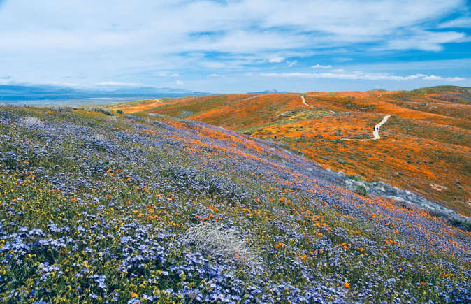Stunning natural wonders you’ll want to 1
