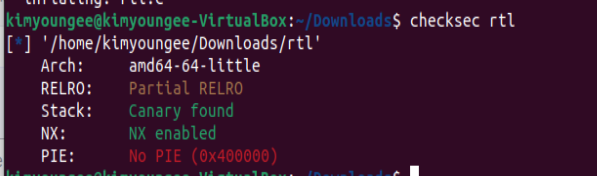 [ Dreamhack ] Return to Library