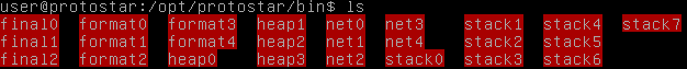 [Protostar] Stack0