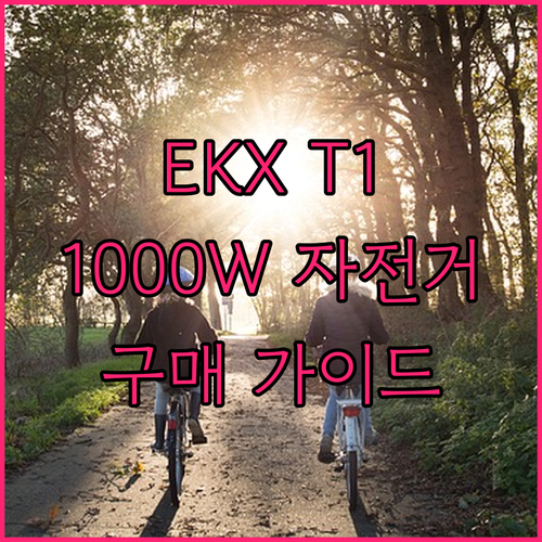 EKX T1 1000W 전기 자전거 구매 가이드! 스펙, 리뷰, 가격 비교 총정리