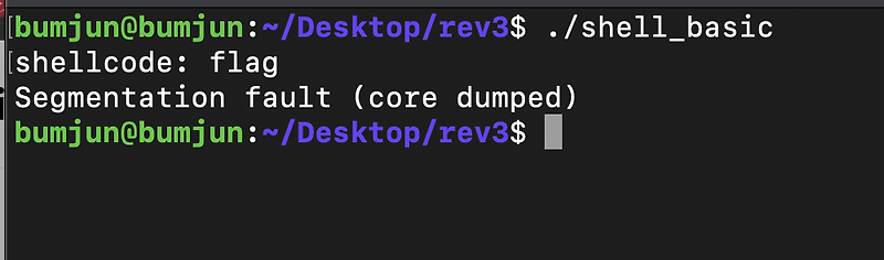[dreamhack] Beginner shell_basic