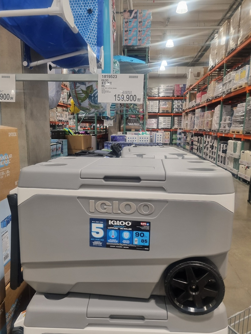 코스트코 IGLOO 쿨링쿨러 85L 실사용 후기