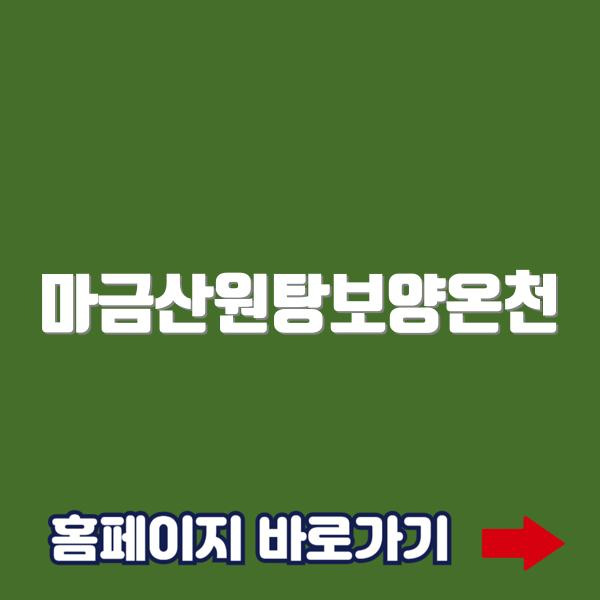 마금산원탕보양온천 홈페이지바로가기(http://www.mageumsanspa.co.kr)