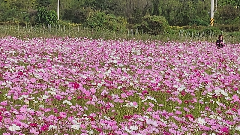 ?scode=mtistory2&fname=https:%2F%2Fblog.kakaocdn.net%2Fdn%2FJGvFf ...