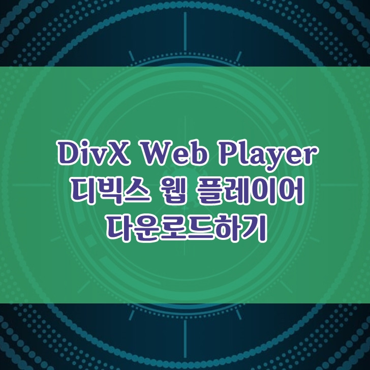 디빅스 웹 플레이어 DivX Web Player 다운로드