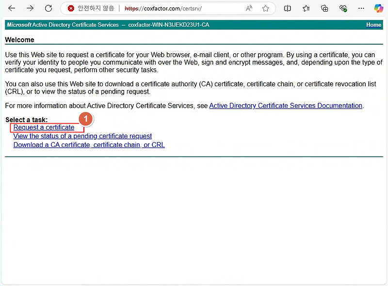 [IIS] ADCS 에 IIS CSR 제출 및 인증서 다운로드 #2