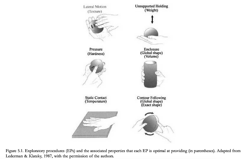 Human Hand Function Part 5