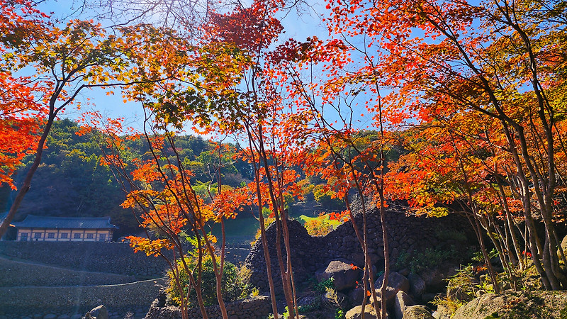 지리산, 가을 단풍