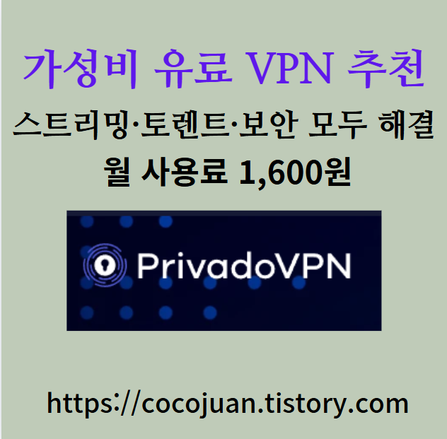가성비 유료 VPN 추천: 월 1$, PrivadoVPN으로 스트리밍·토렌트·보안 모두 해결