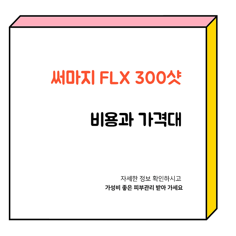 써마지 FLX 300샷의 비용과 가격대
