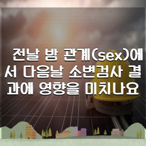 전날 밤 관계 Sex 에서 다음날 소변검사 결과에 영향을 미치나요