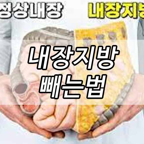 내장지방 빼는법 뱃살 빼는법 10가지