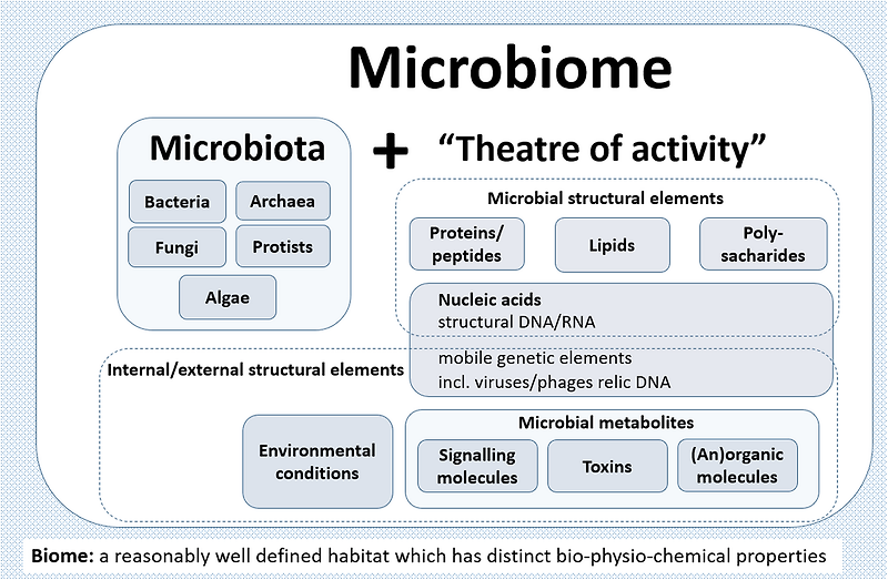[Seminar] Understanding microbiome for human health and disease ...