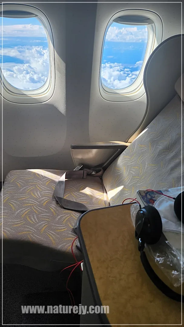 인천 호놀룰루 아시아나 비지니스 좌석 및 기내식 OZ 231/232