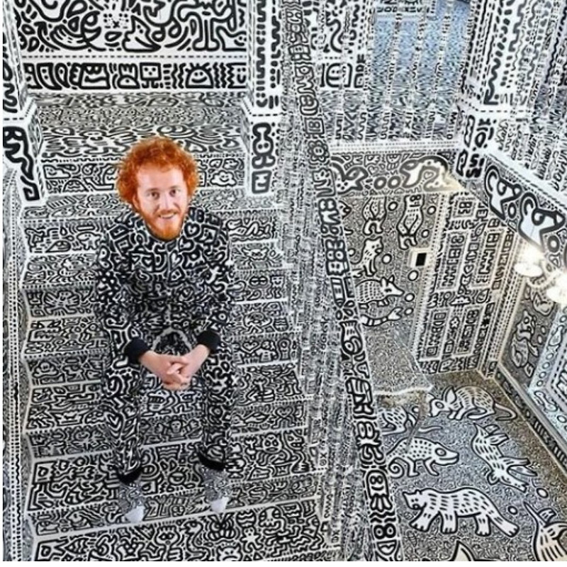 낙서예술가로 유명한 “미스터 두들(Mr.Doodle)"