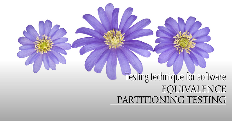 equivalence partitioning testing