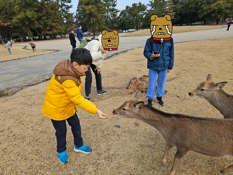 초딩 아들들과 오사카 교토 나라 연말 5박 6일 (5) 5일차 : 나라, 덴노지 전차