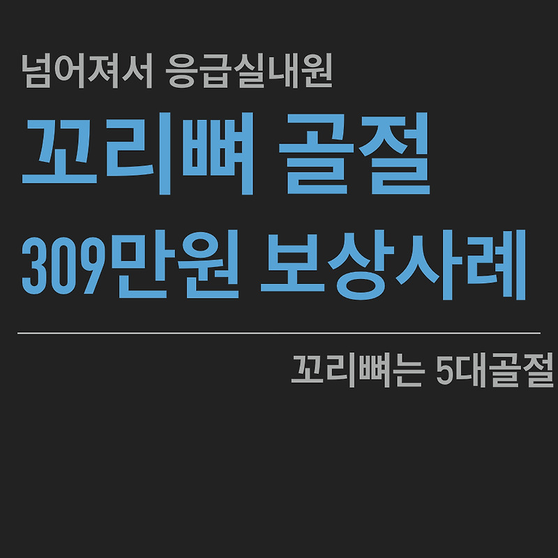 꼬리뼈 골절으로 보험청구 309만원 받은 보상사례