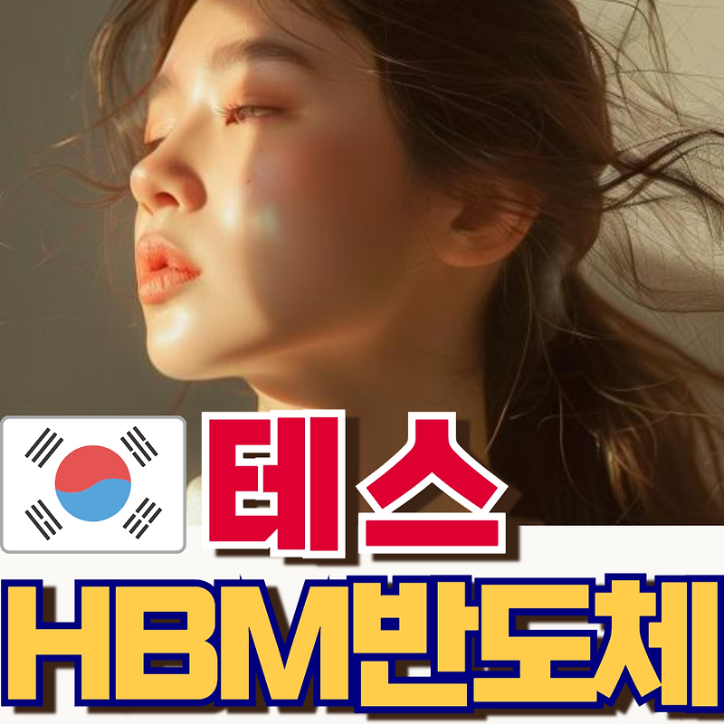 AI HBM 반도체 낸드 관련주 : 테스 TOP