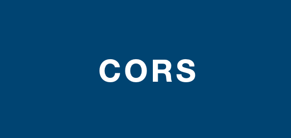 [Web] CORS