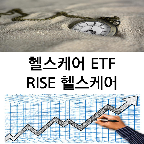 RISE 헬스케어 ETF 배당금 및 종목분석