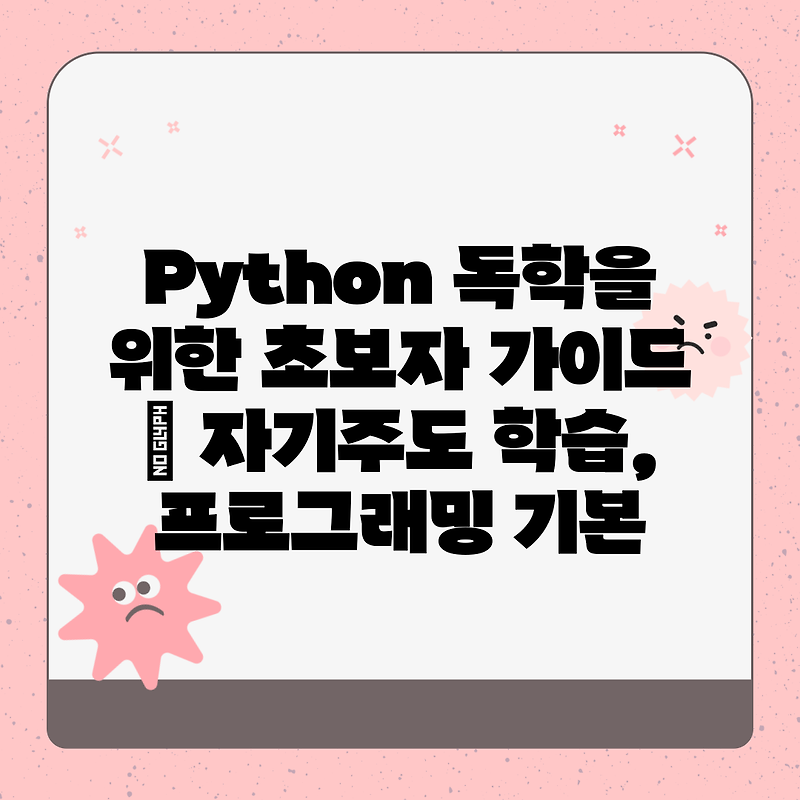Python 독학을 위한 초보자 가이드 | 자기주도 학습, 프로그래밍 기본