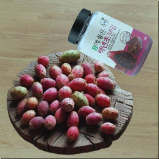 장수식품 백년초 성분과 효능 먹는 법과 주의점