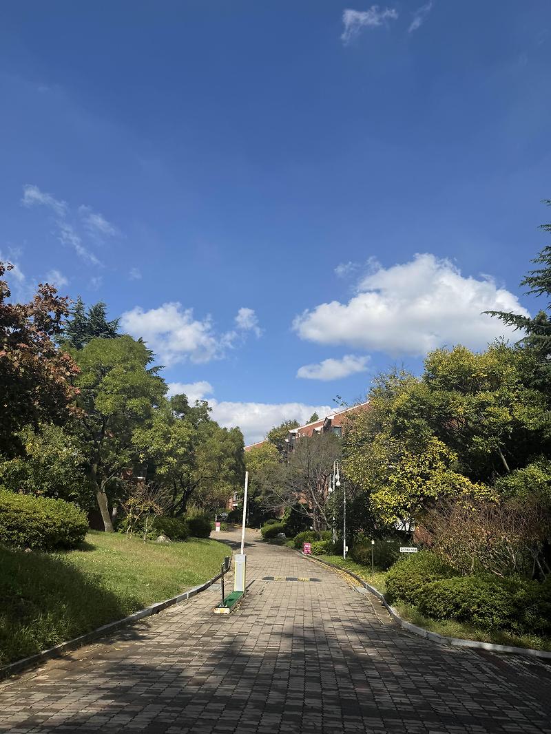 Apple Developer Academy @ Postech 3기 테크 batch2 지원 후기 — GI-LOG