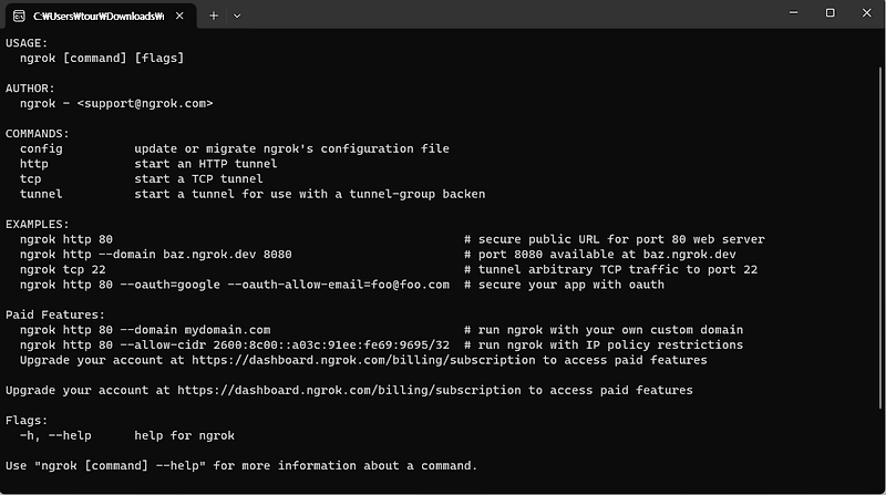 ngrok 사용하여 localhost를 외부에서 접속가능한 https URL로 생성하기 — HagaaDev